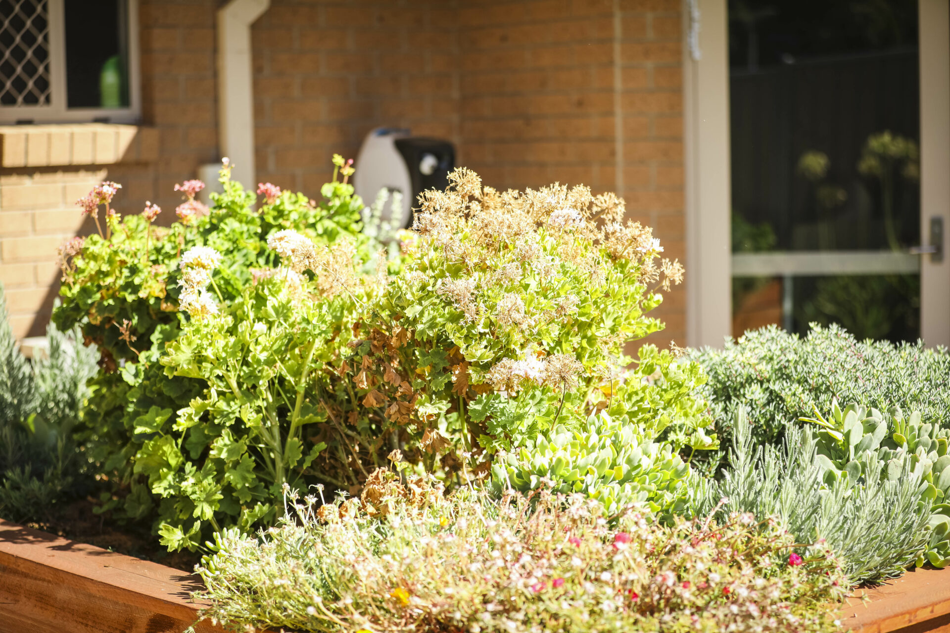Our Leadership Team | Murray House Aged Care